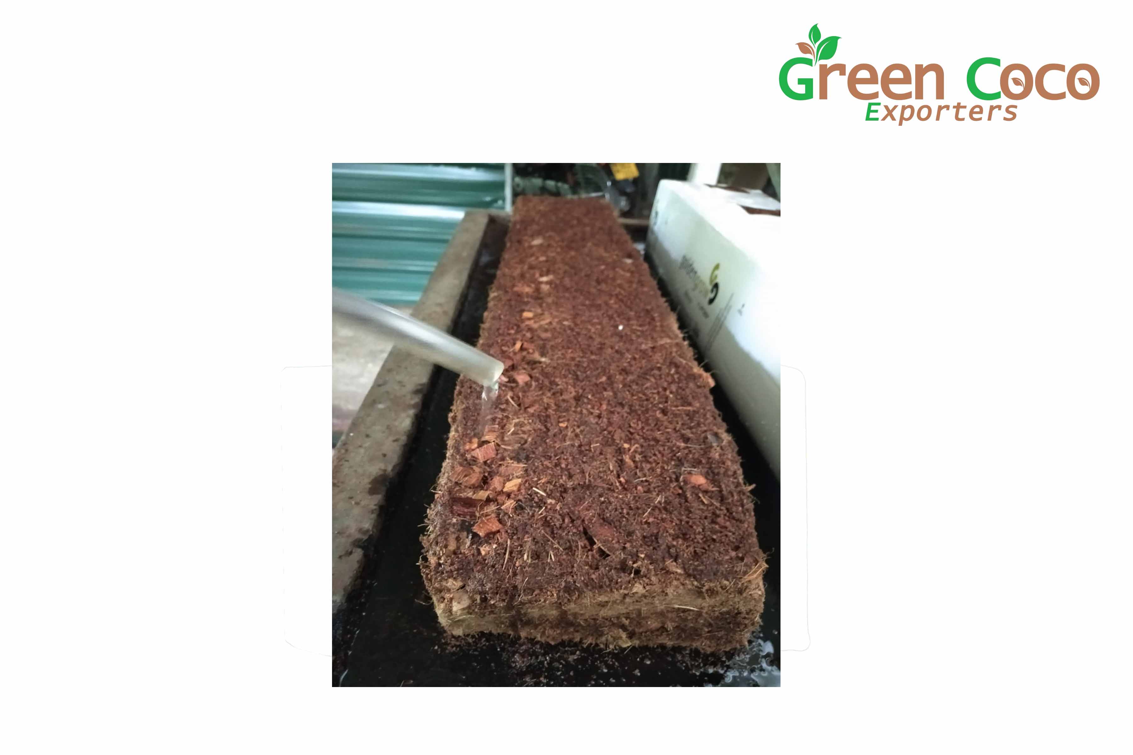 Green Coco Expo | Horticultural